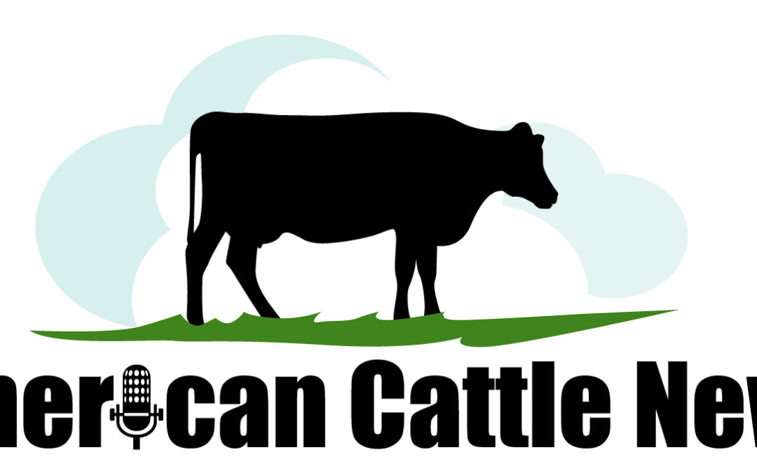 April Slaughter Numbers | Dairy Radio Now